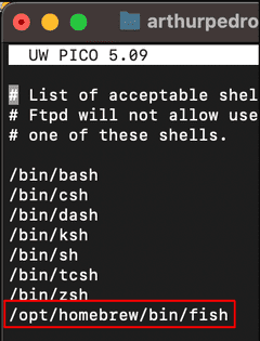 Setup Homebrew + Fish + Starship + NVM (Mac) | Arthur Pedroti